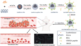 Construction of fibrin-targeted nanoparticles for imaging diagnosis and ...