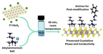 Supramolecular electrostatic functionalization of 1T-MoS2 based on ...