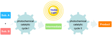 Multiple-cycle photochemical cascade reactions - Organic & Biomolecular ...