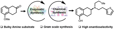 Chemoenzymatic total synthesis of rotigotine via IRED-catalyzed ...