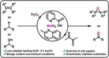 A manganese-based catalyst system for general oxidation of unactivated ...