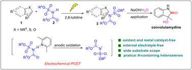 Electro-oxidative intermolecular CSP2–H amination of heteroarenes via ...