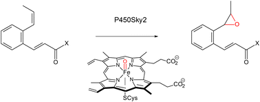 Biosynthesis of a new skyllamycin in Streptomyces nodosus: a cytochrome ...