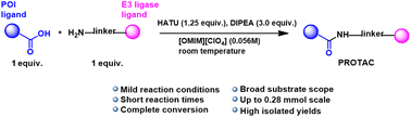 Use of ionic liquids in amidation reactions for proteolysis targeting ...