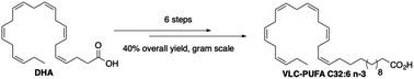 A gram-scale synthesis of very-long chain polyunsaturated fatty acids ...