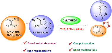 Design and synthesis of 1,2-dihydroquinoline/chromene fused sugar ...