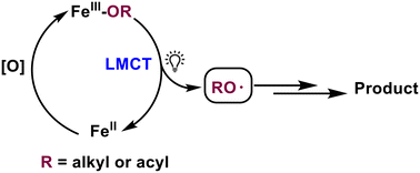 Light-induced ligand-to-metal charge transfer of Fe(iii)-OR species in ...