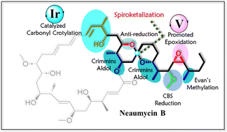 Stereoselective synthesis of the northern hemisphere of the proposed ...