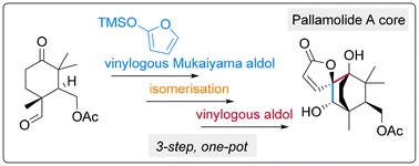 Synthesis of the bicyclic butenolide core of pallamolide A: a ...