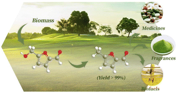 Reductive deoxygenation of alcohols by PMHS assisted by iodide ...
