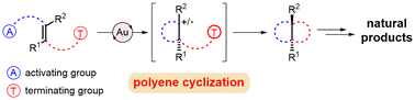 Gold-catalyzed polyene cyclization and its application in the total ...