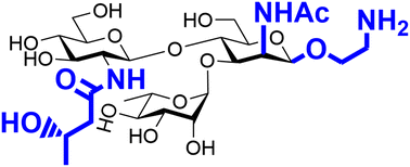 Synthesis of the conjugation-ready β-mannosamine-containing O-antigen ...