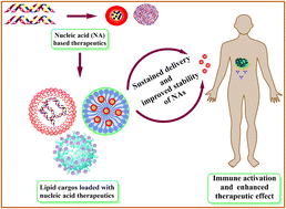 Recent progress on nanosystems for nucleic acid delivery - RSC ...