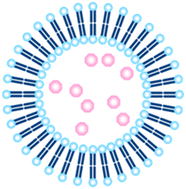 A brief overview of quality by design approach for developing ...