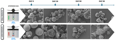 Controlling the solid-state and particle properties of a fixed-dose ...