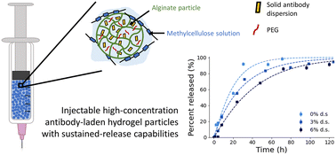 Injectable sustained-release hydrogel for high-concentration antibody ...