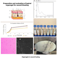 Development and characterization of a gallic acid-infused topical ...