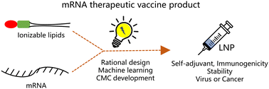 The rise of mRNA therapeutic vaccines - RSC Pharmaceutics (RSC Publishing)
