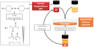 Degradable bispiperidone derivative amine networks with monomer ...