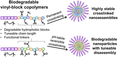 Biodegradable mPEG-b-poly(MDO-co-vinyl esters) block copolymers as a ...