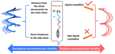 Construction of secondary and tertiary chiral structures in side-chain ...