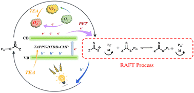 Visible light-triggered non-deoxygenated PET–RAFT polymerization by ...