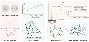 A proof-of-concept study on a fully biobased and degradable polymer ...