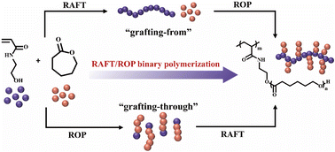 RAFT/ROP binary polymerization towards well-defined graft copolymers ...