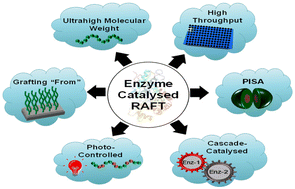 Green synthesis of polymer materials via enzyme- initiated RAFT ...