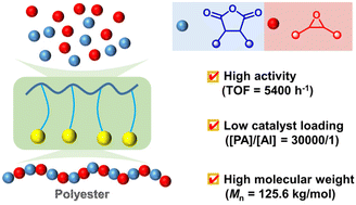 Highly active aggregate catalysts for the synthesis of high-molecular ...