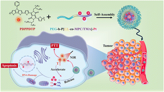 Synergistic chemotherapy/photothermal therapy for cancer treatment ...