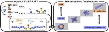 Exploring ferrocene-directed photo-Fenton initiation of RAFT ...