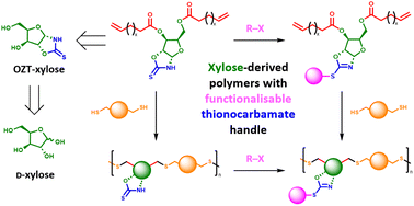 Xylose-derived thionocarbamates as a synthetic handle towards a ...