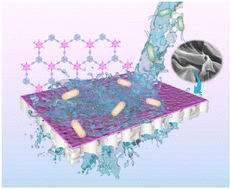 Preparation and antibacterial performance of a conjugated microporous ...