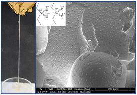 Syntheses and supramolecular associations of block and grafted ...