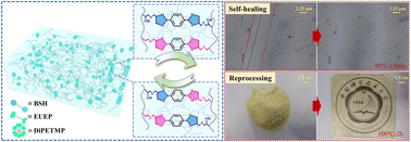 Self-healable, reprocessable and anti-flammable eugenol-derived ...