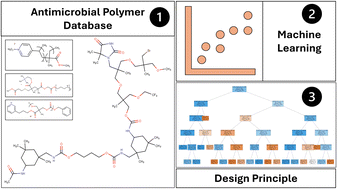 Advancing antimicrobial polymer development: a novel database and ...