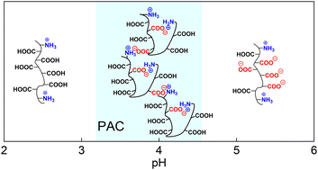 Controlled synthesis and pH-sensitive complexation of poly(methacrylic ...