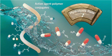 Strategies to prepare polymers with cleavable linkages releasing active ...
