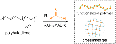 Multifunctionalization of polybutadiene by RAFT/MADIX technology ...