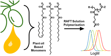Synthesis and RAFT polymerisation of hydrophobic acrylamide monomers ...