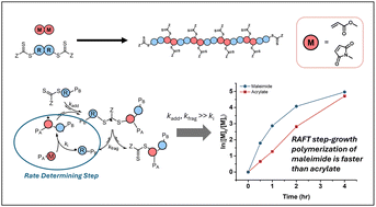 Mechanism and modelling of thermally initiated RAFT step-growth ...