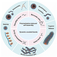 Polymerization-induced self-assembly nanomaterials based on dynamic ...