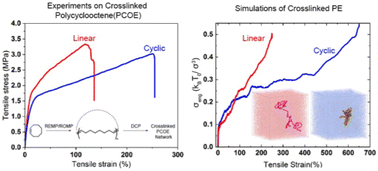 Transformation of semicrystalline polymer mechanics by cyclic polymers ...
