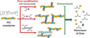 Chemical modification of poly(isosorbide carbonate)-based copolymers ...