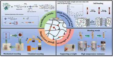 High strength and rapid self-healing daidzein-based ...