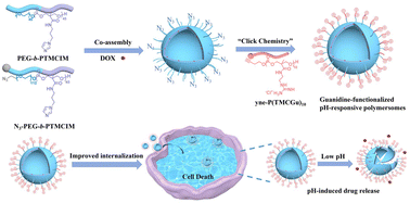 Constructing pH-responsive poly(trimethylene carbonate) (PTMC)-based ...