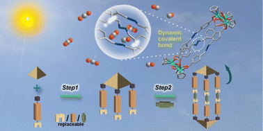 Dynamic covalent bonding for directed construction of molecular cages ...