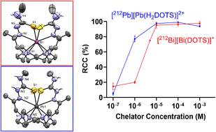 Rapid and stable complexation of the α-generators bismuth-212 and lead ...