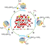 Au depositing and Mg doping synergistically regulates an In2O3 ...